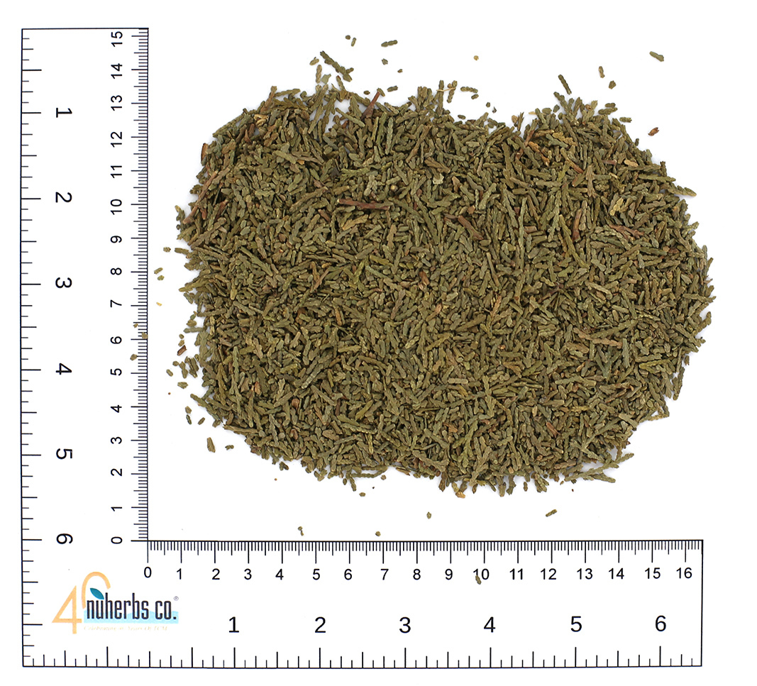 Ce Bai Ye | Nuherbs